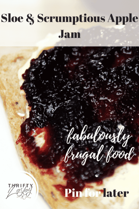 Home made sloe and apple jam - Thrifty Lesley